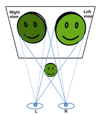 Learning optics with a DIY polarization-based 3D display