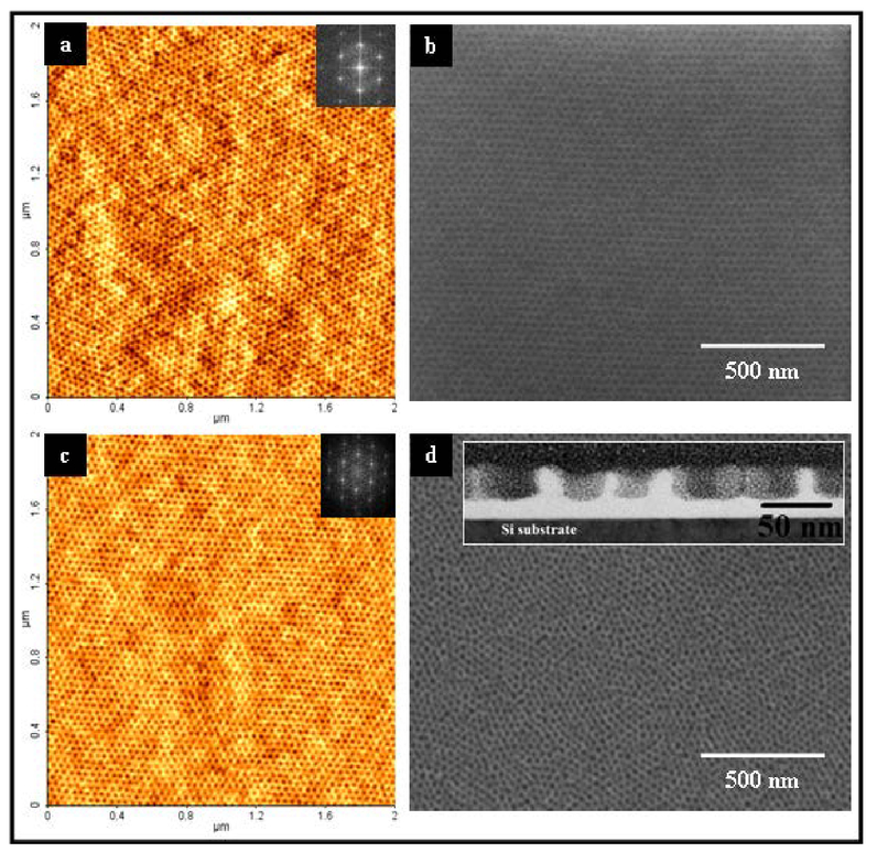 Self-assembled nanostructures as templates for patterned surfaces with ...